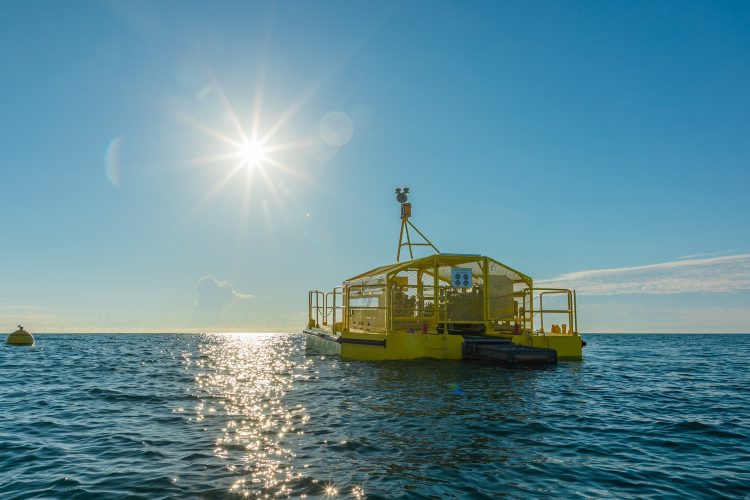 TriplePundit • Wave-Powered Buoy Makes 13,000 Gallons of Clean Water a Day