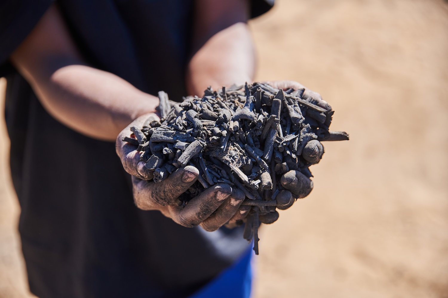 TriplePundit • This New Machine Churns Out Carbon-Storing Biochar on ...